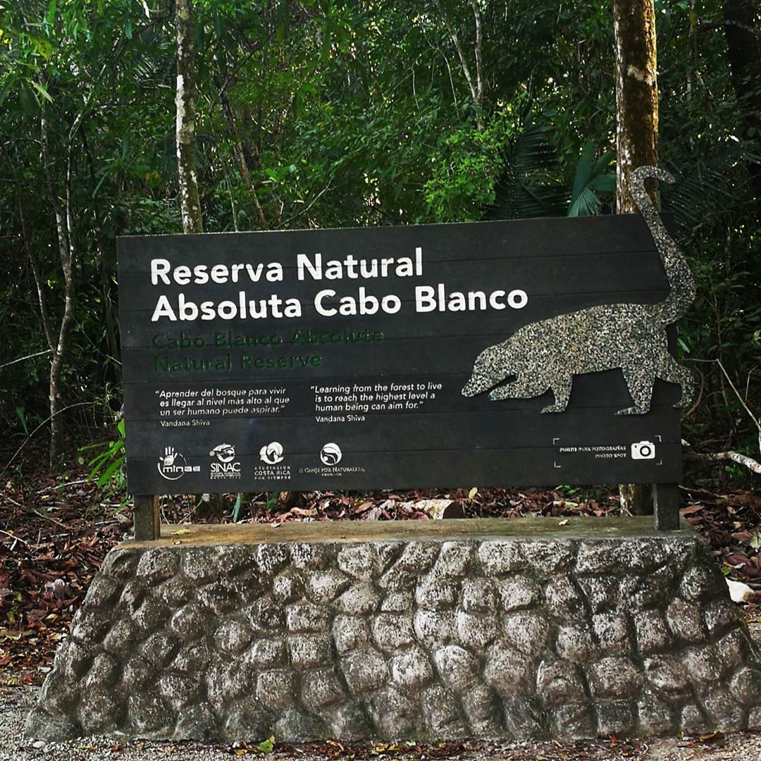 Cabo Blanco - Canaima Chill House